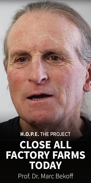 HOPE The Project - „HOPE What You Eat Matters“ – by Nina Messinger HOPE ...